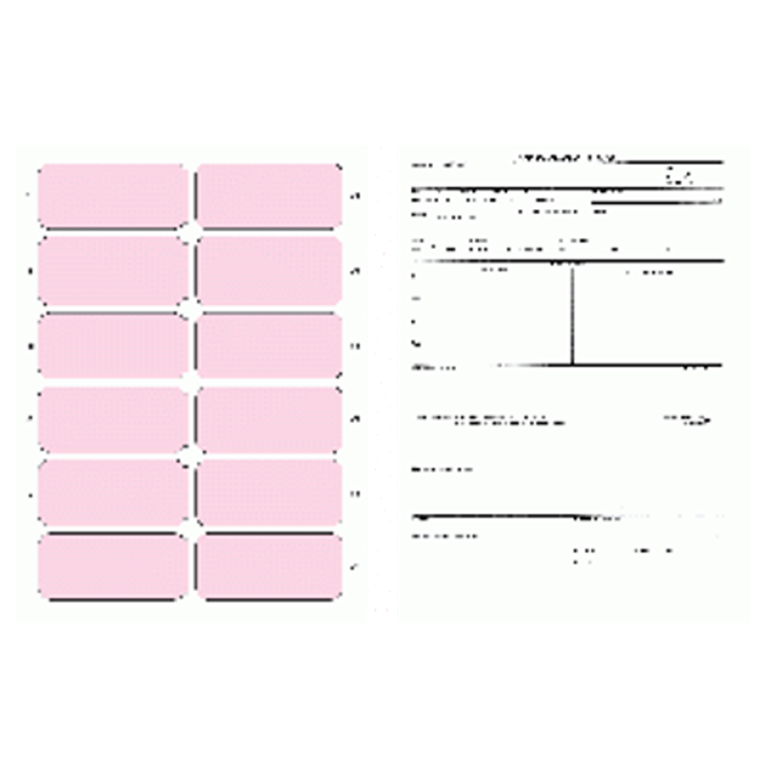 ECG Mount Sheet with Dual-Column Layout: 8½" x 11", Portrait ...